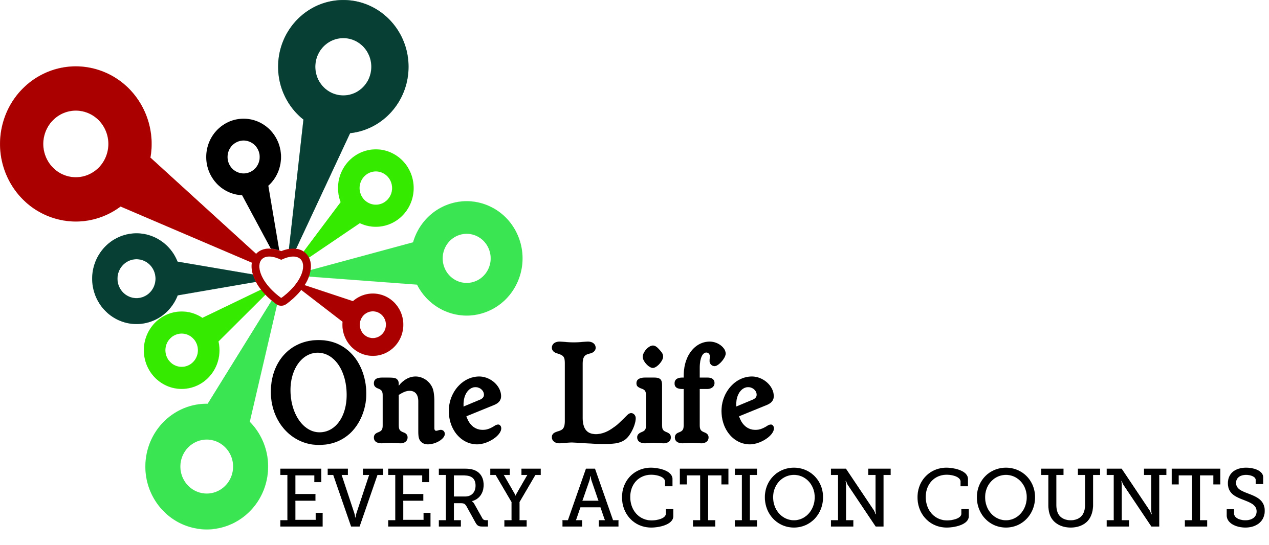 Cardiac Arrest Care - One Life Project - National Ambulance Service